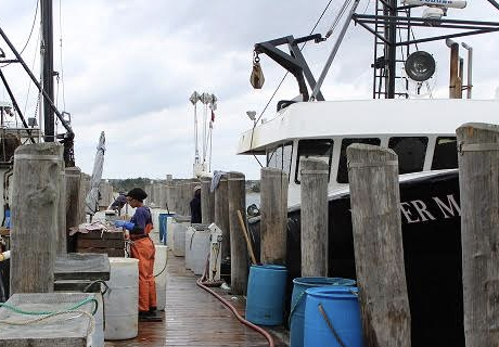 DEM Reminds Fishers, Shellfishers that Renewals for Commercial Licenses ...