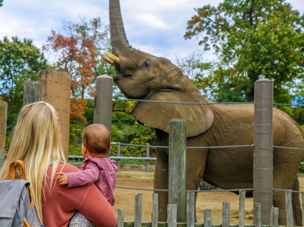Roger Williams Park Zoo Offers Exciting Lineup for Spring and Summer ...