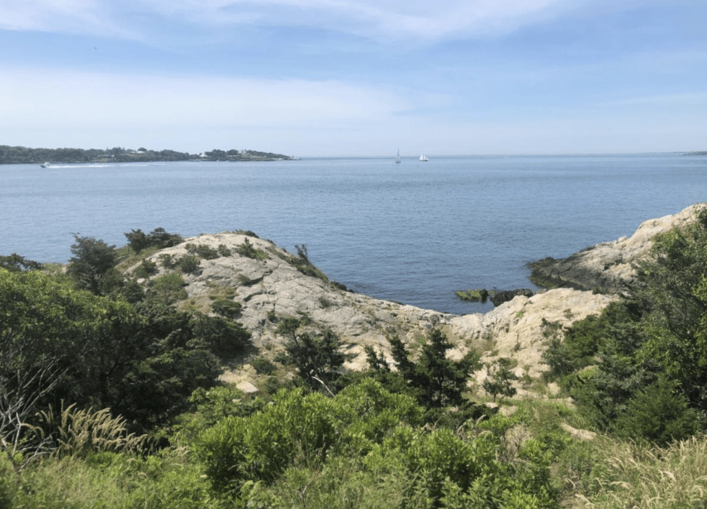 DEM Opens Seasonal Line to Report Environmental Issues Related to ...
