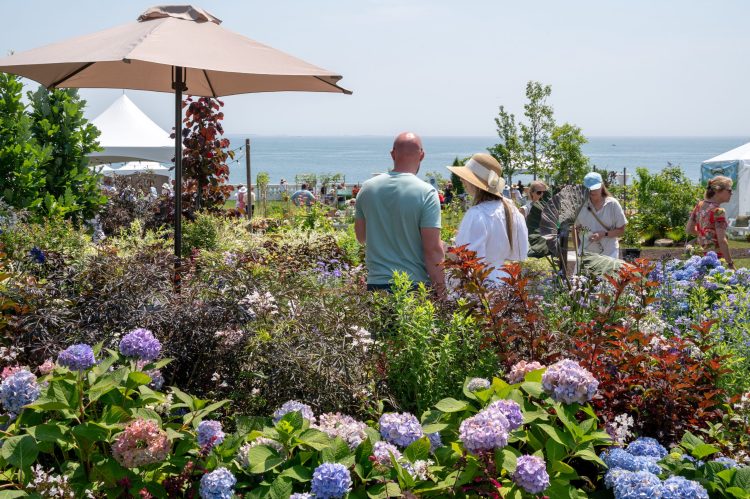 Newport Flower Show 2024_711 - Newport Buzz