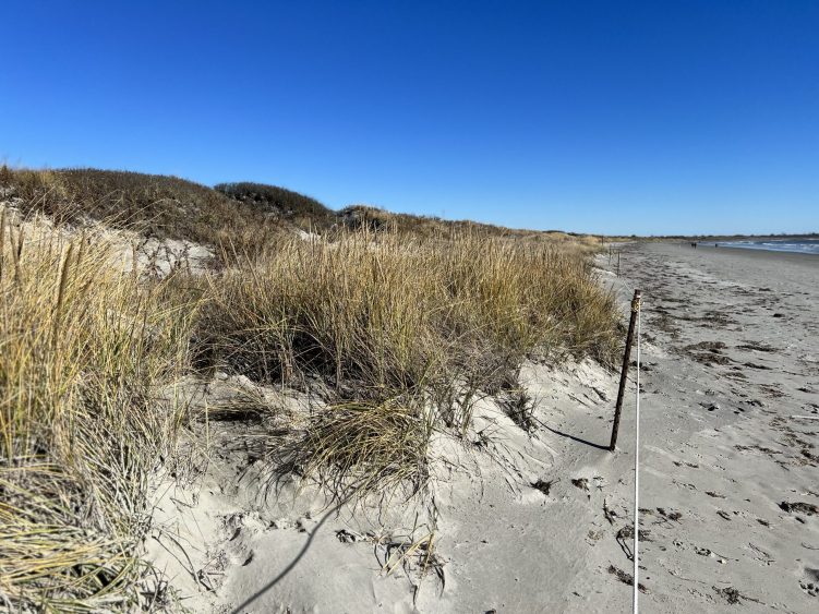 Middletown Installs Temporary Erosion Barriers to Protect Second Beach ...