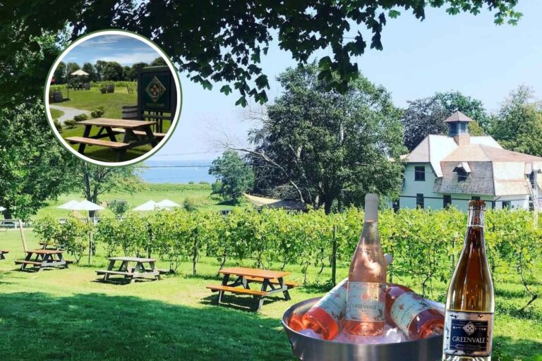 Greenvale Vineyards Welcomes Spring With the Release of Its 2025 Rosé ...